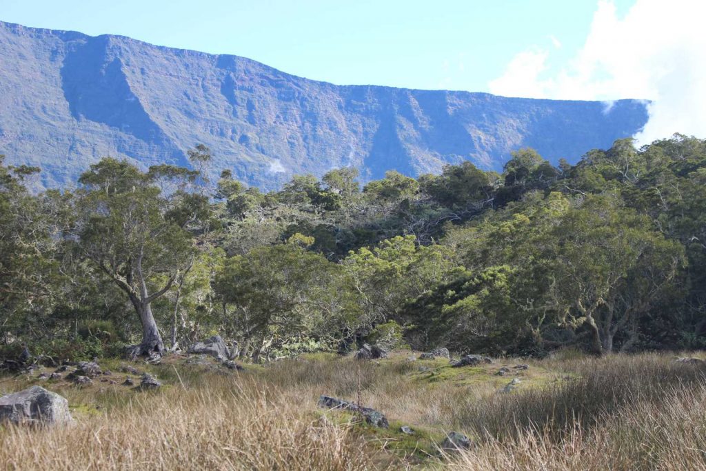 Cirque île de la Réunion : Notre circuit 3 cirques 3 jours - Le ...